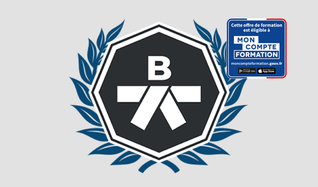 Formation Certifiante Black Belt - 7-Shapes